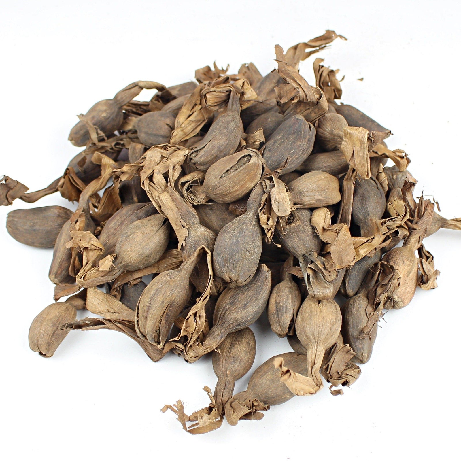 Whole Mbongo Cardamom / Alligator Pepper African Spices– Afrilege