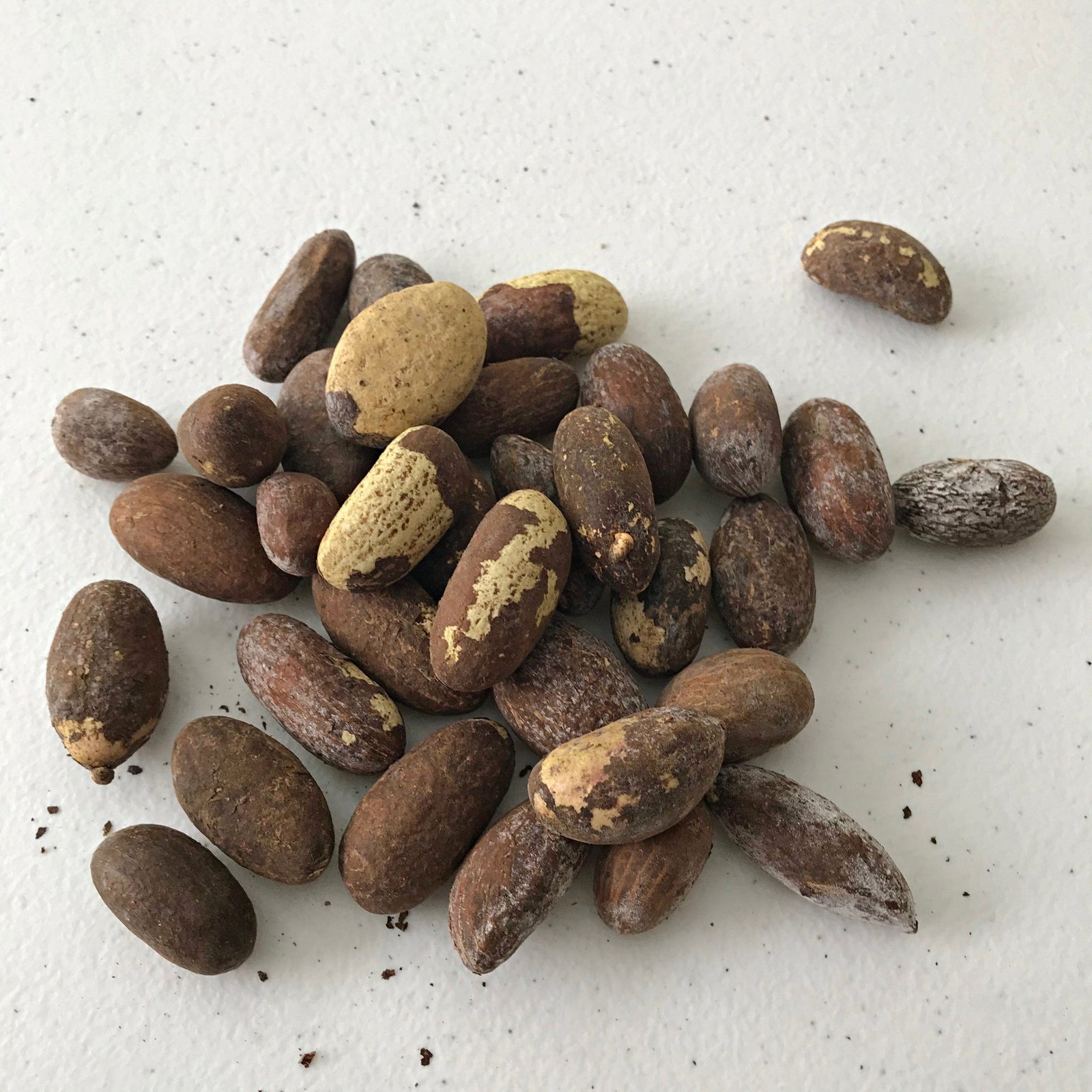 Nigerian Bitter Kola Nuts | Afrilege